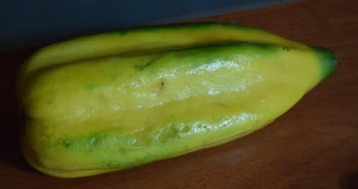 Ecuador Exotic Fruit - 18 Of The Most Fascinating Picks