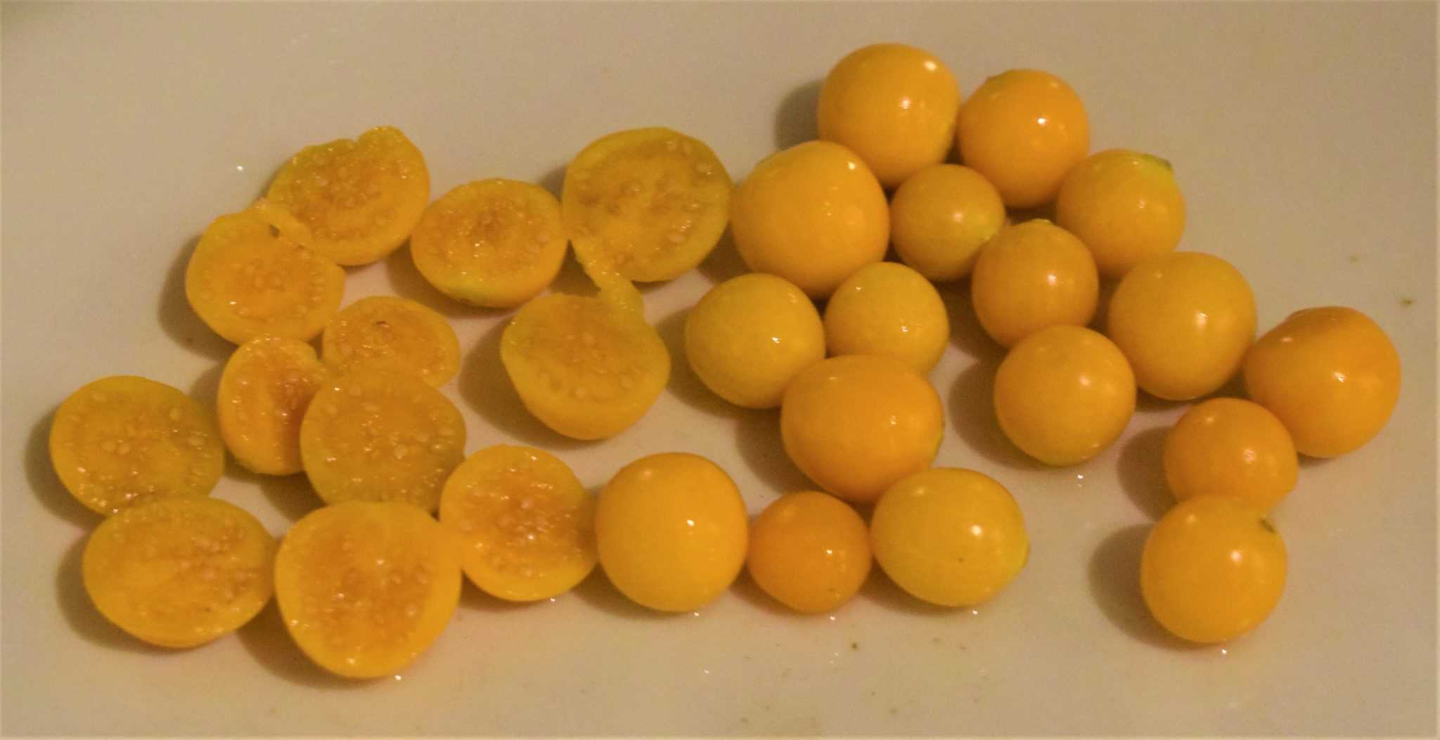 Cape Fruit: 14 Top Picks from Cape Town (South Africa)