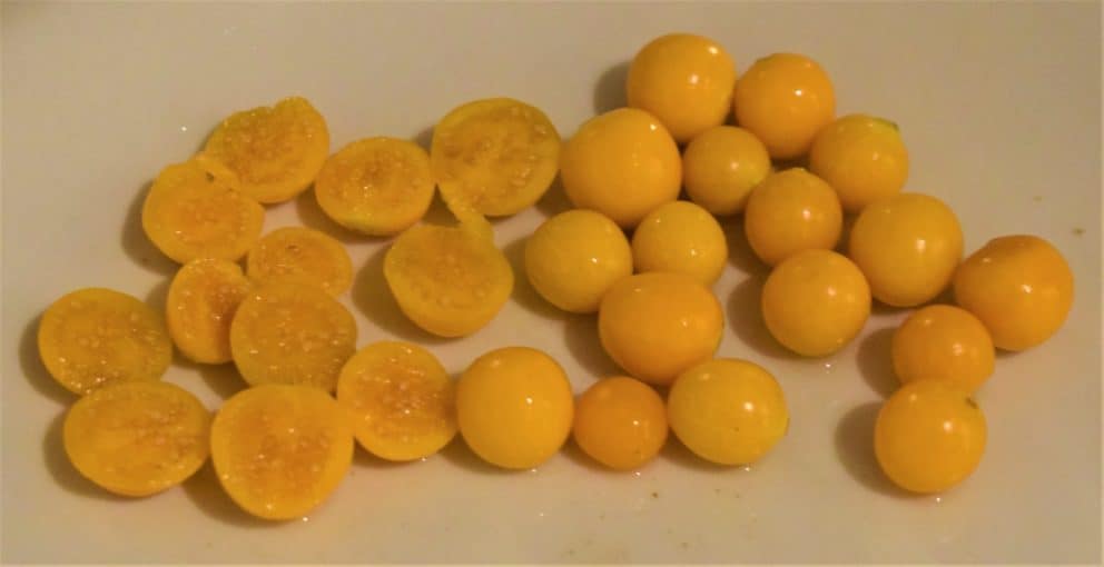 Cape Fruit: 14 Top Picks from Cape Town (South Africa)