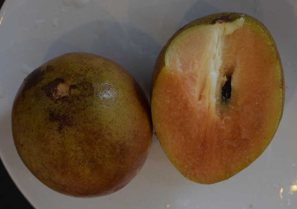 Malaysia Exotic Fruit: 16 Unforgettable Picks from South-East Asia